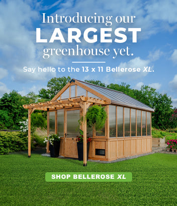 Backyard Discovery - Outdoor Home Decor and Furniture