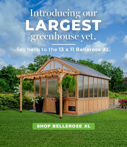 Backyard Discovery - Outdoor Home Decor and Furniture